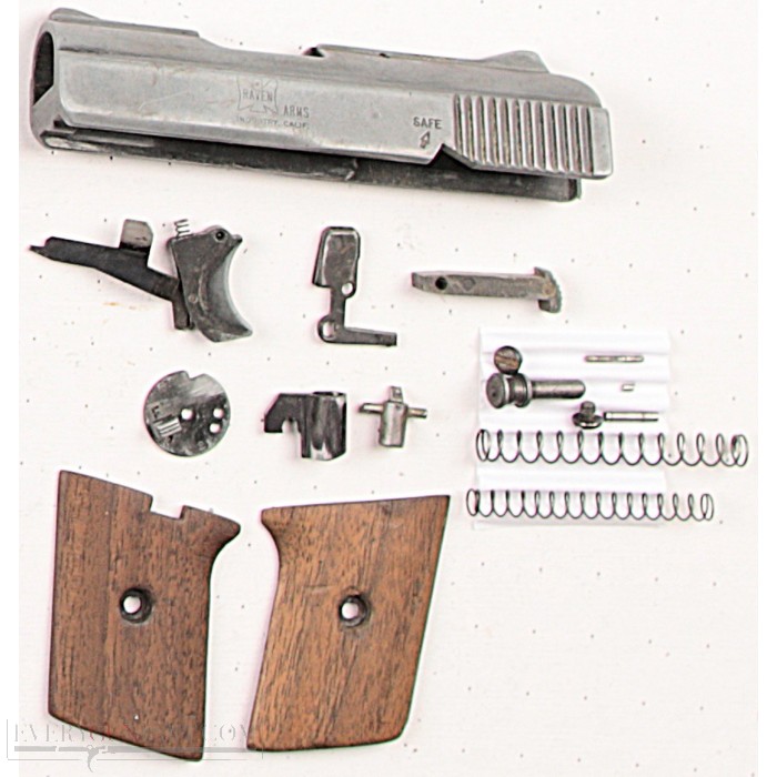 Raven MP25 Semi-auto | EveryGunPart.com