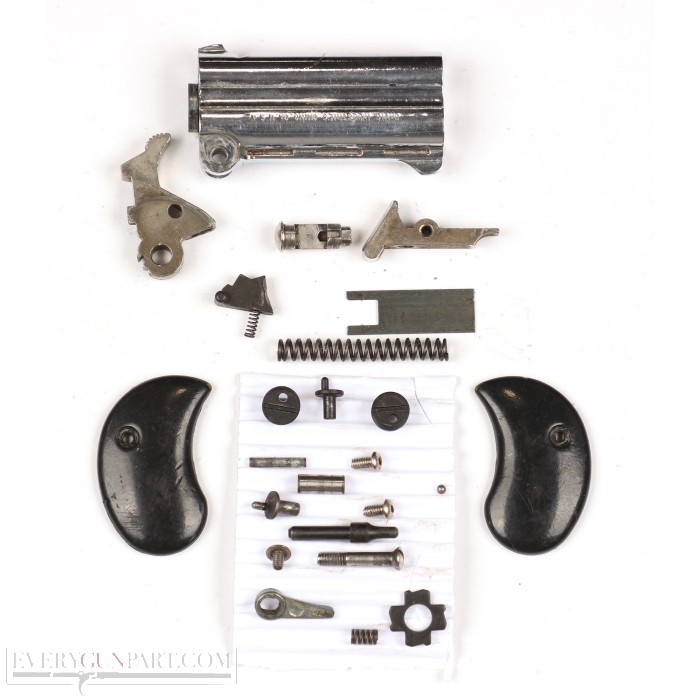 Davis D22 Derringer | EveryGunPart.com