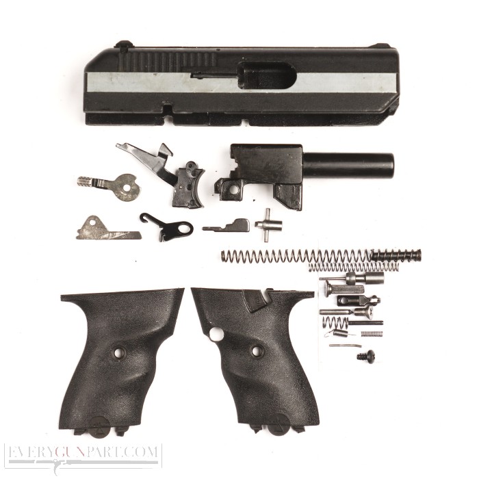 Hi Point CF380 Semi-auto | EveryGunPart.com