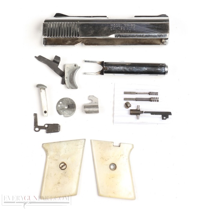 Raven MP25 Semi-auto | EveryGunPart.com