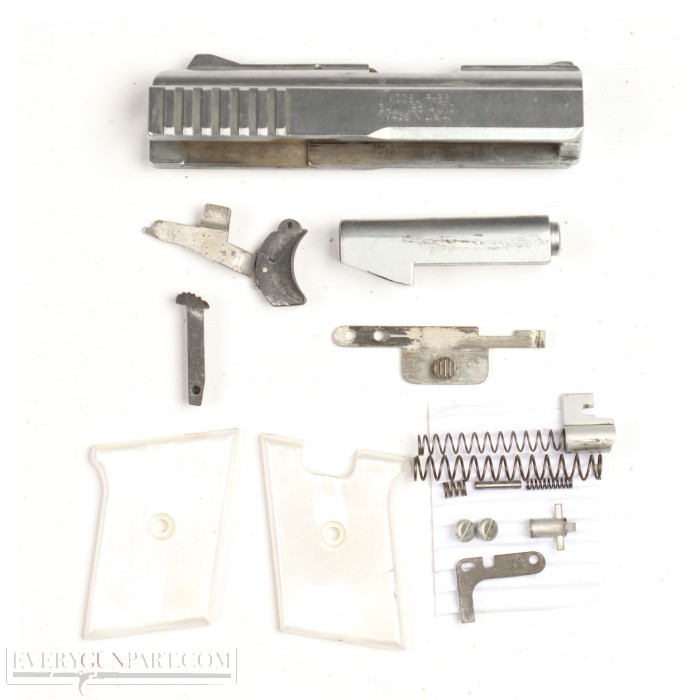 Raven P25 Semi-auto | EveryGunPart.com