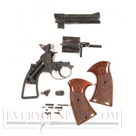RG 38S Revolver | EveryGunPart.com