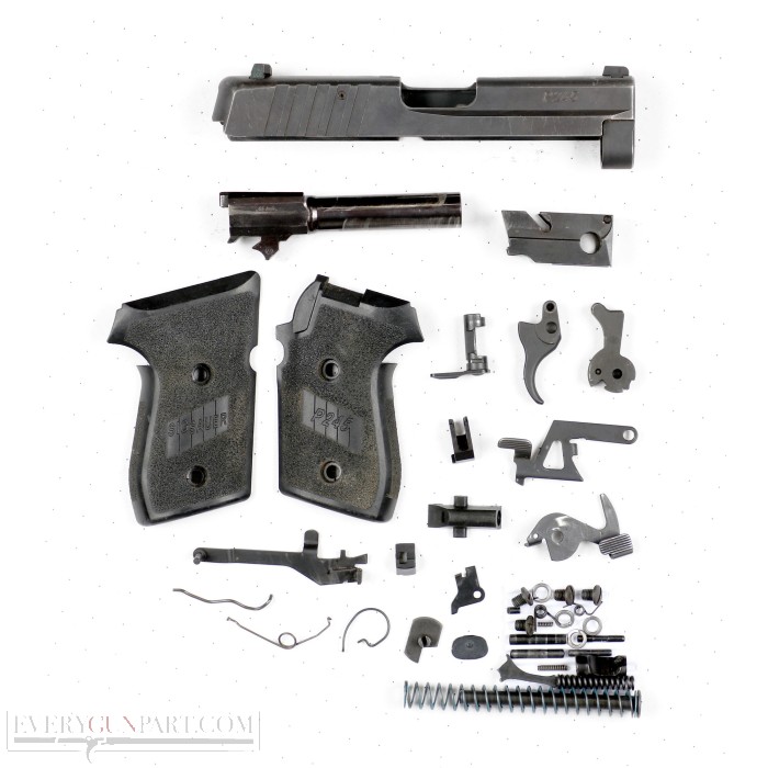 Sig Sauer P245 Semi-auto | EveryGunPart.com