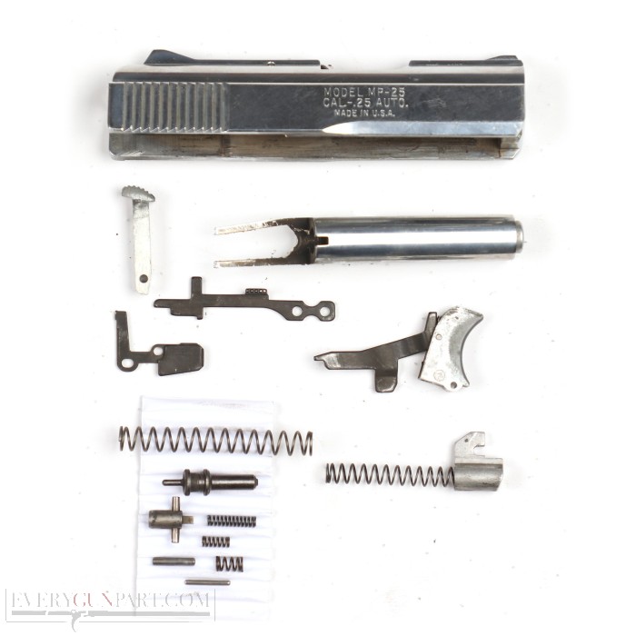 Raven MP25 Semi-auto | EveryGunPart.com