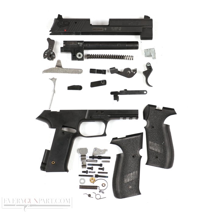 Sig Sauer Mosquito Semi-auto | EveryGunPart.com