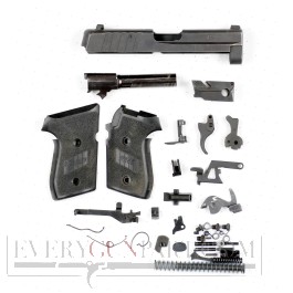 Sig Sauer P245 Semi-auto | EveryGunPart.com