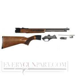 Winchester 290 | EveryGunPart.com