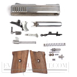 Raven P25 Semi-auto | EveryGunPart.com