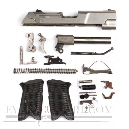 Ruger P90 Semi-auto | EveryGunPart.com