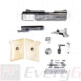 Raven MP 25 Semi-auto | EveryGunPart.com